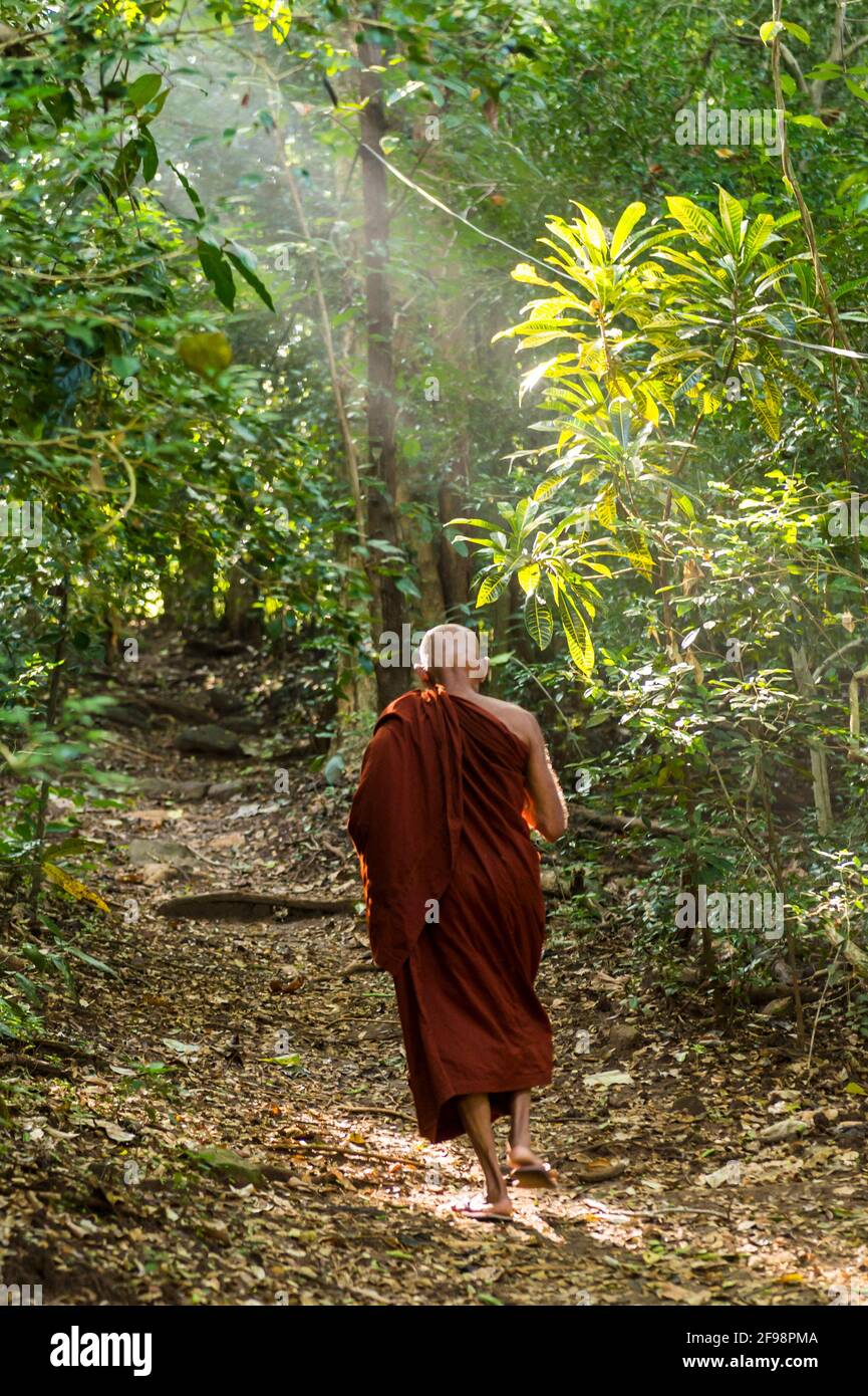 Sri Lanka, Melsiripura, forest monastery Humbulugala Arannya, monk ...