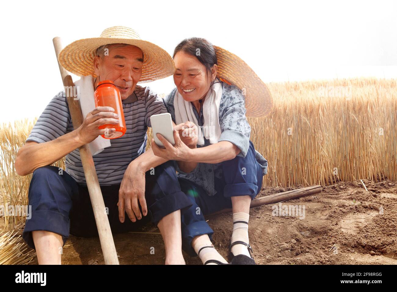 Peasant couple sat in the wheat field with a cell phone video Stock ...