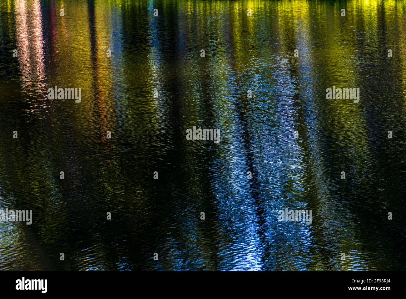 Abstract tree reflection on calm water surface Stock Photo - Alamy