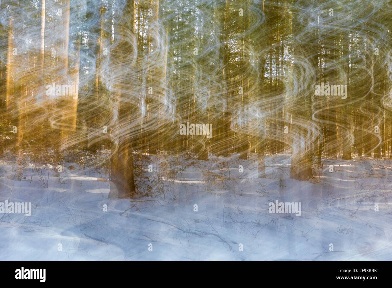 Motion blur movement moving hi-res stock photography and images - Alamy