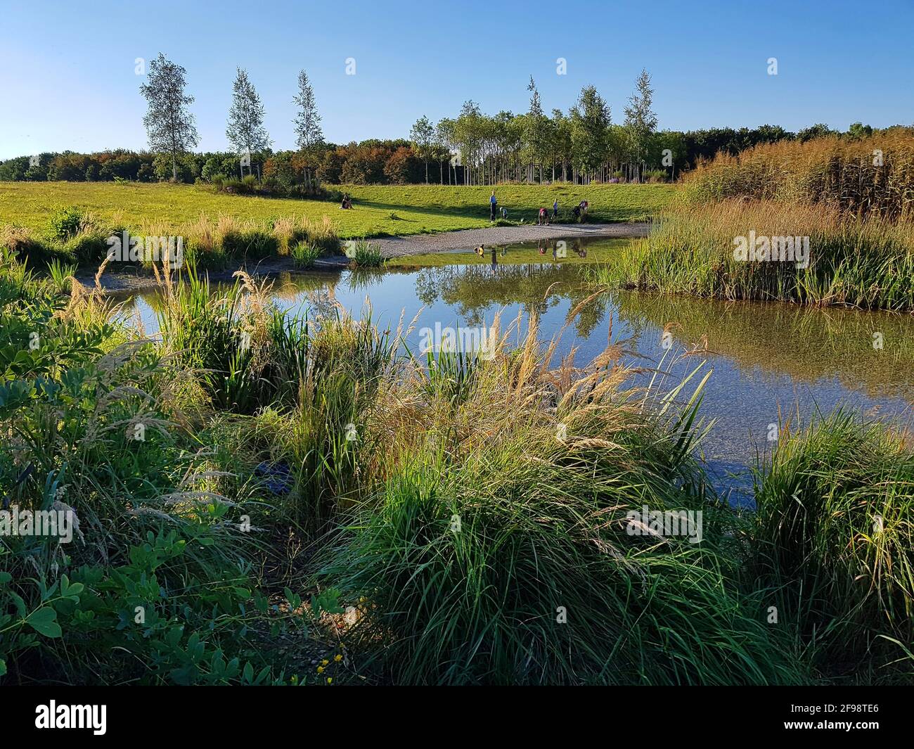 Riemer germany hi-res stock photography and images - Alamy