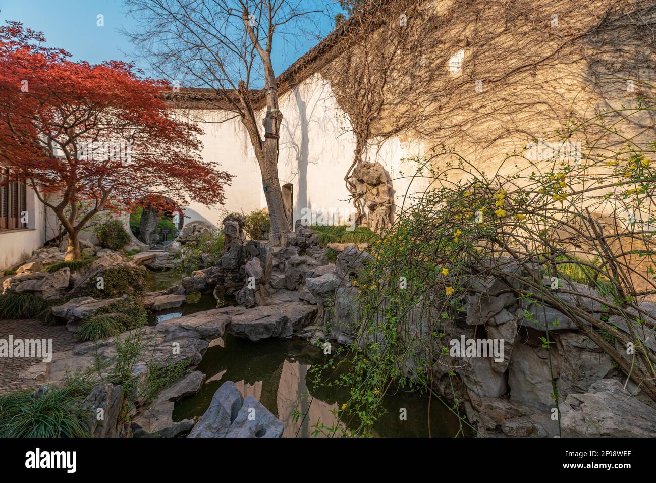 Landscape of The Garden of Cultivation, a Ming Dynasty classical garden ...