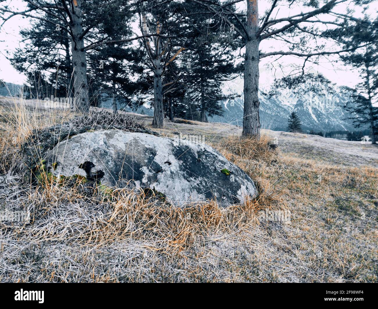 Boulder on the humpback meadows, a relic of the Worm Ice Age Stock ...