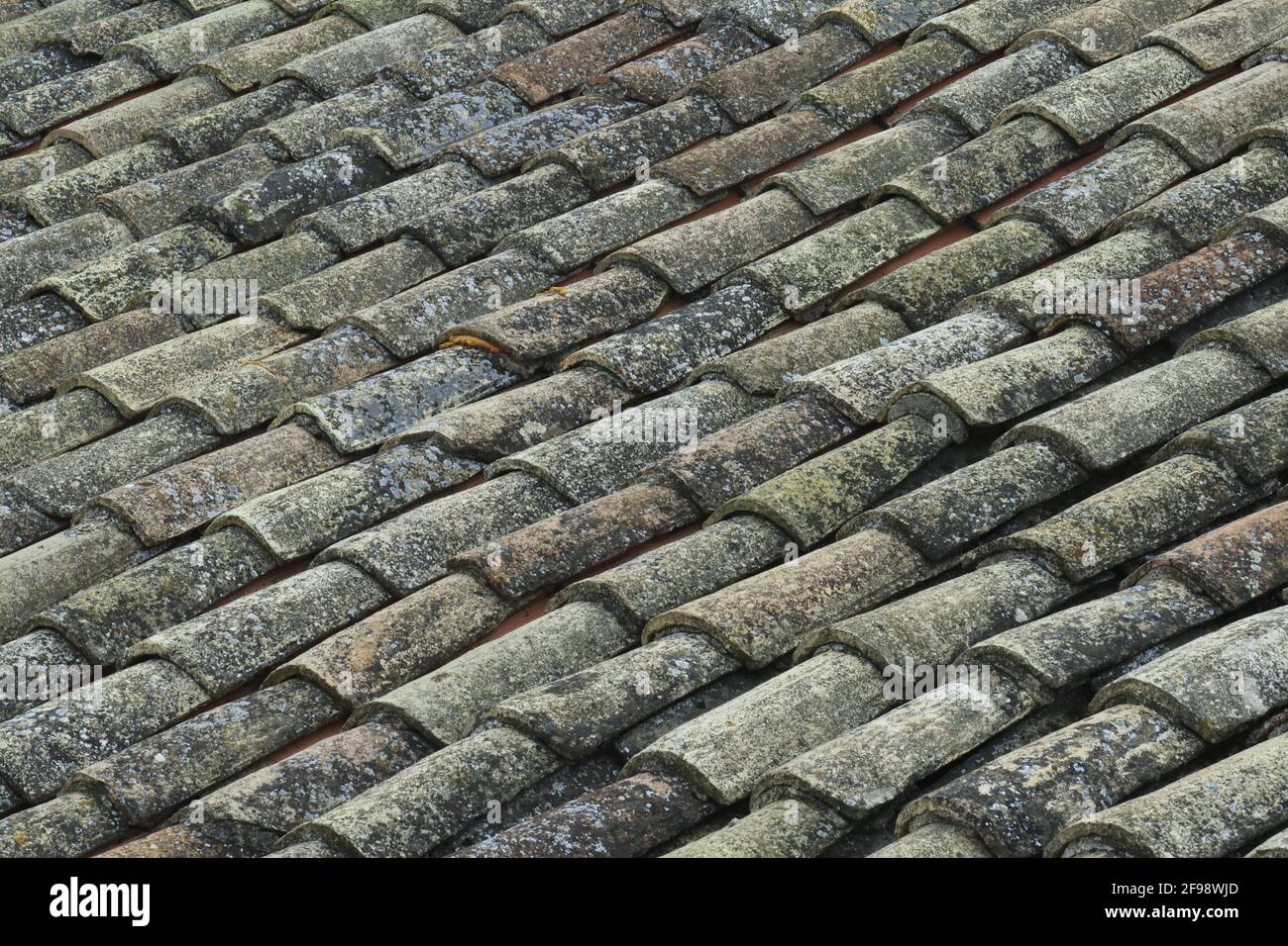 Old weathered roof tiles texture Stock Photo - Alamy
