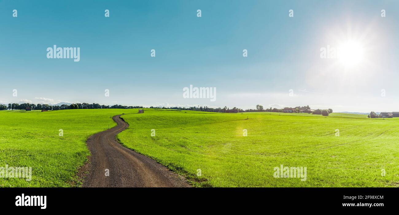 Path through hilly green landscape Stock Photo - Alamy