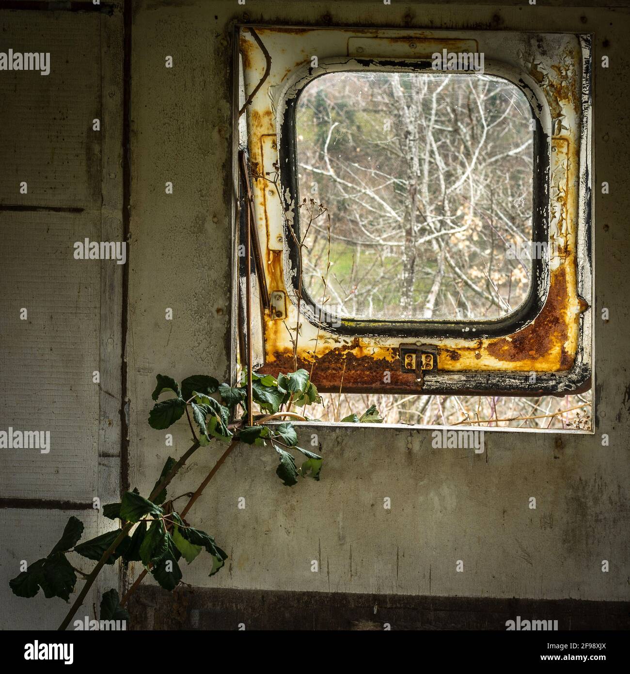 Closeup shot of a half-open rusty window on a dirty white wall and a ...