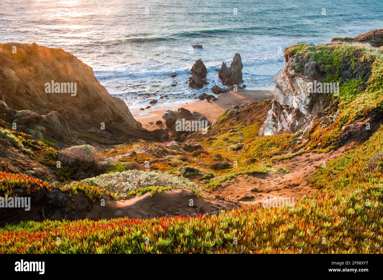 Rocky shore in the California bay area during daytime Stock Photo - Alamy