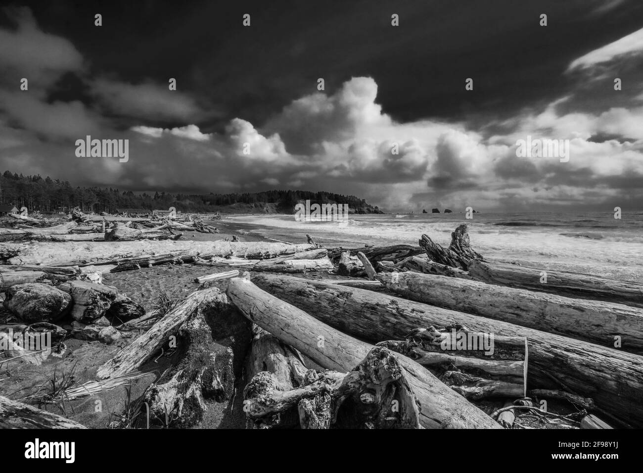 Quileute indian reservation hi-res stock photography and images - Alamy