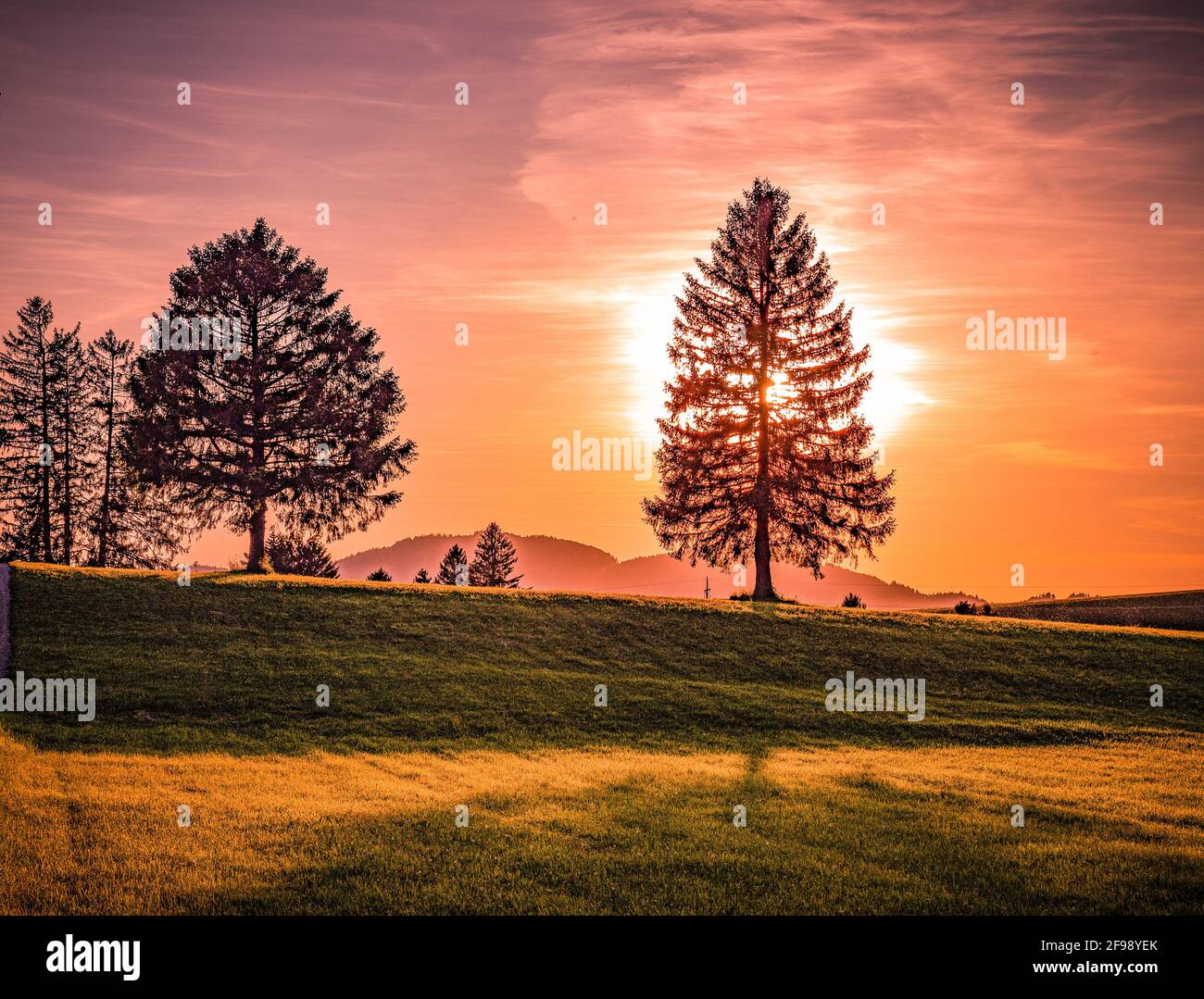 High quality photo hi-res stock photography and images - Alamy