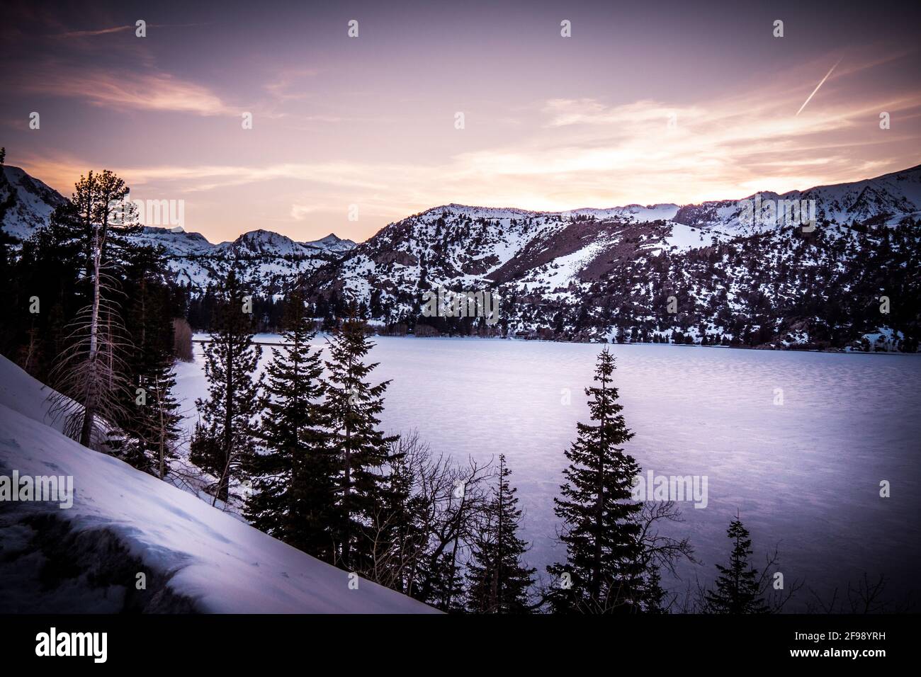 Inyo national forest hi-res stock photography and images - Alamy