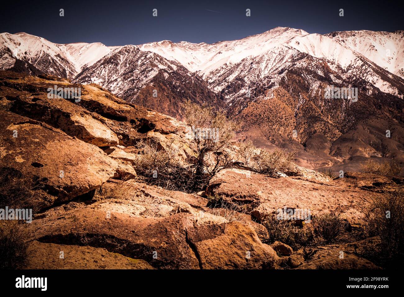 Chalfant hi-res stock photography and images - Alamy