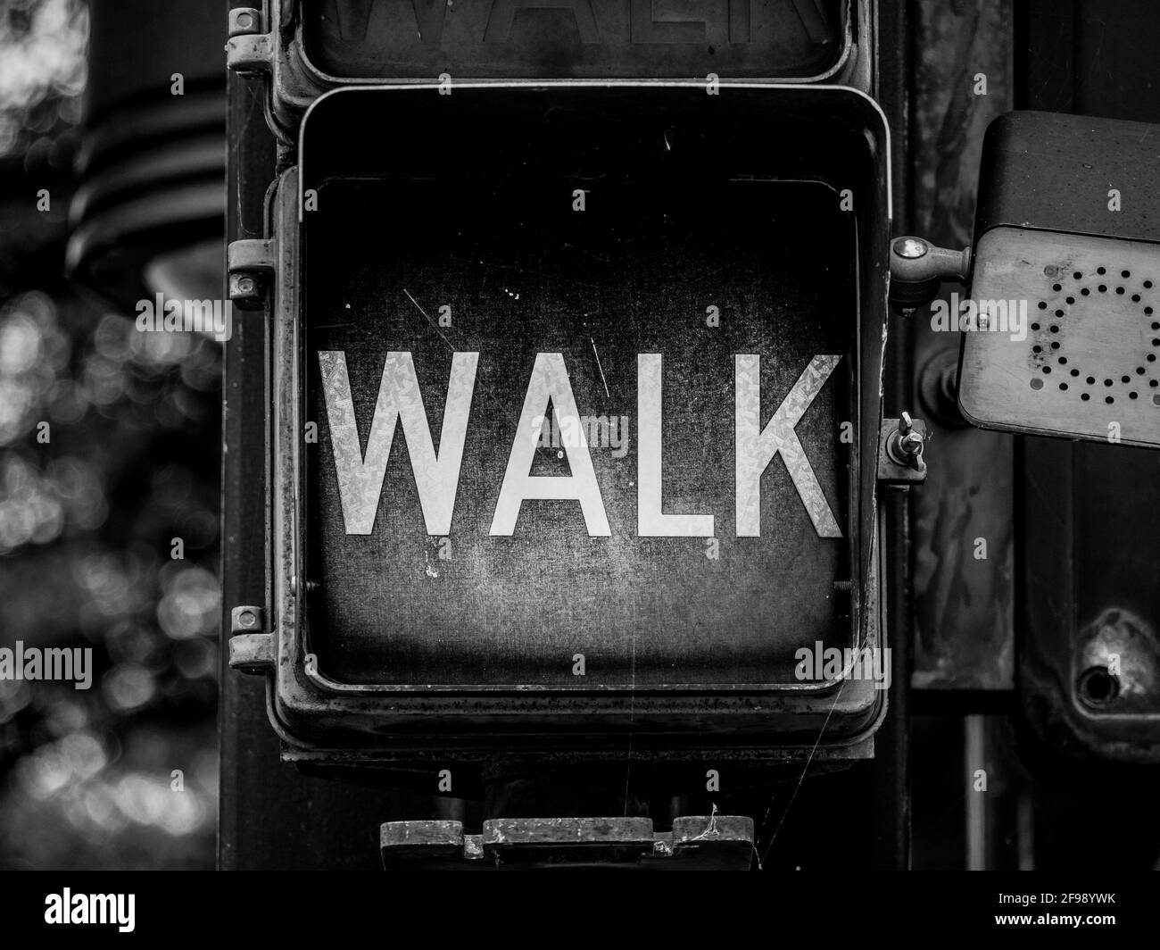 Walk don't walk sign usa hi-res stock photography and images - Alamy