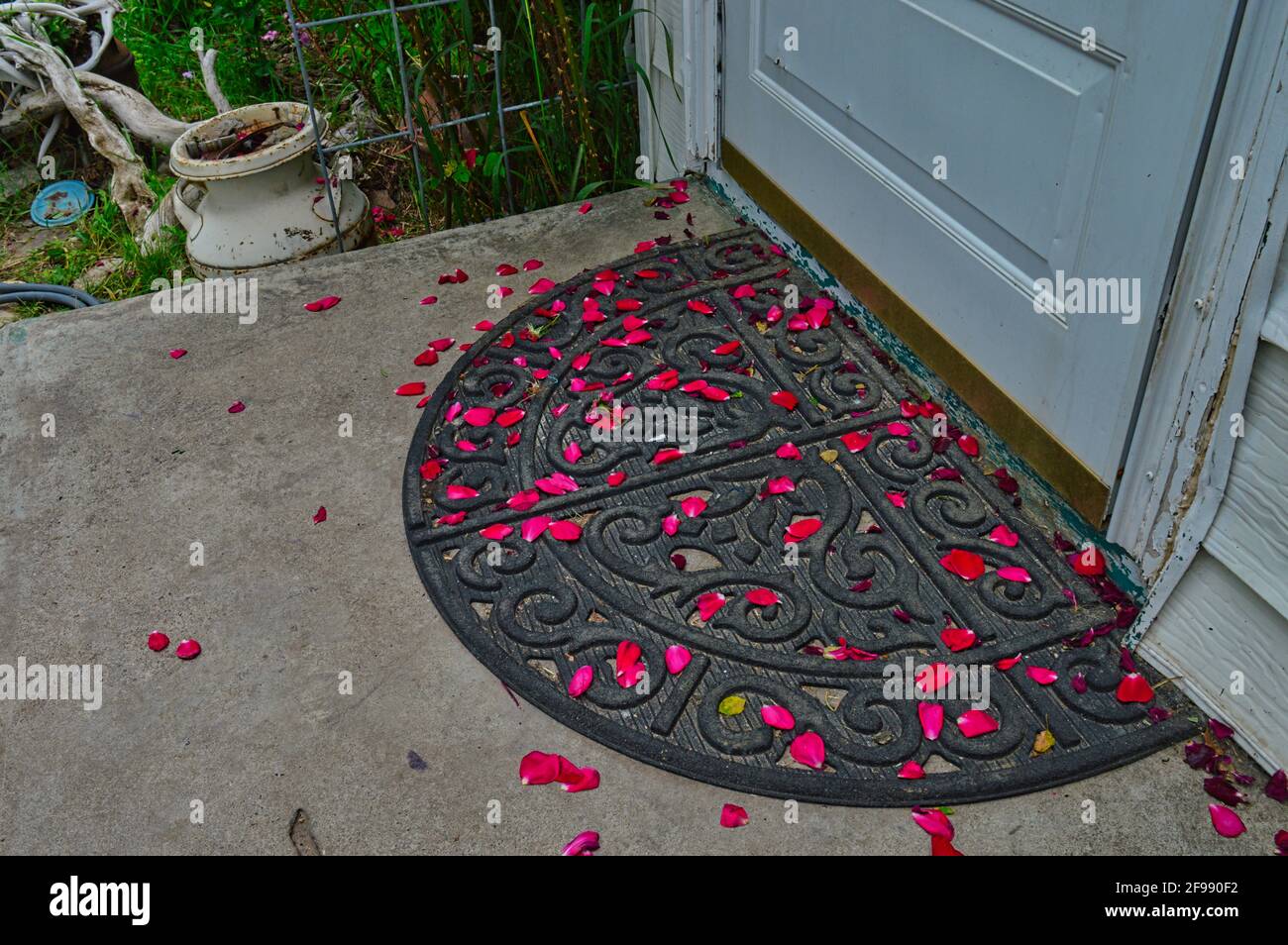 Rose design rug hi-res stock photography and images - Alamy