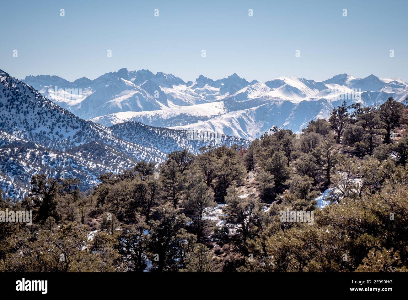 Beautiful inyo national forest in the sierra nevada travel photography ...