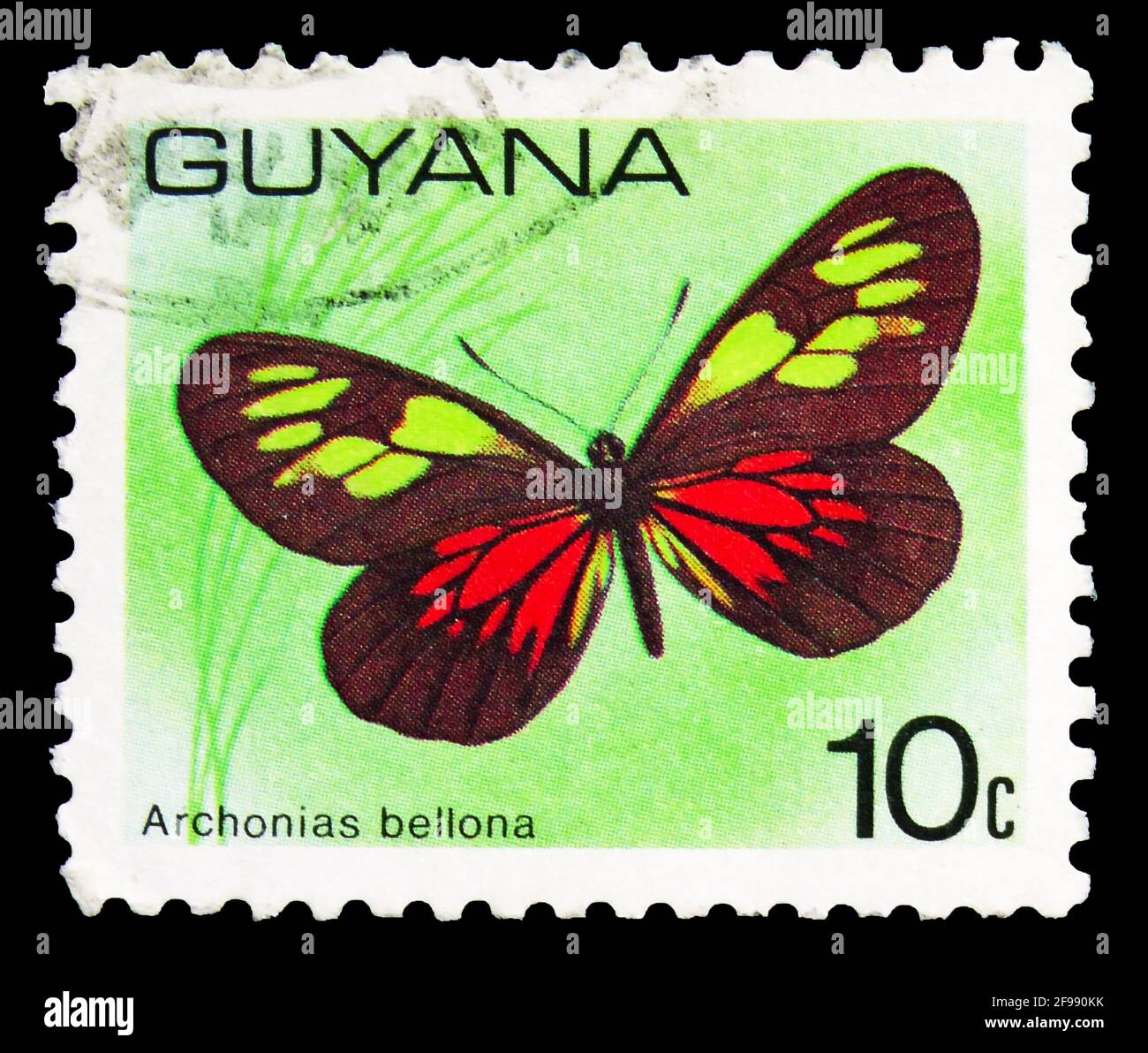 Cattleheart butterflies hi-res stock photography and images - Alamy