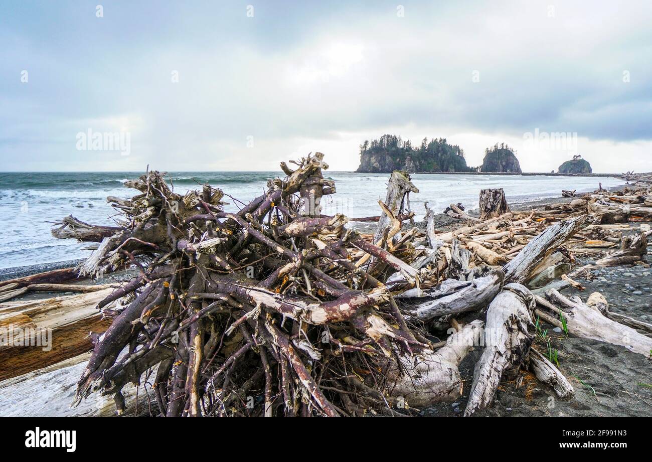 La push beach hi-res stock photography and images - Alamy