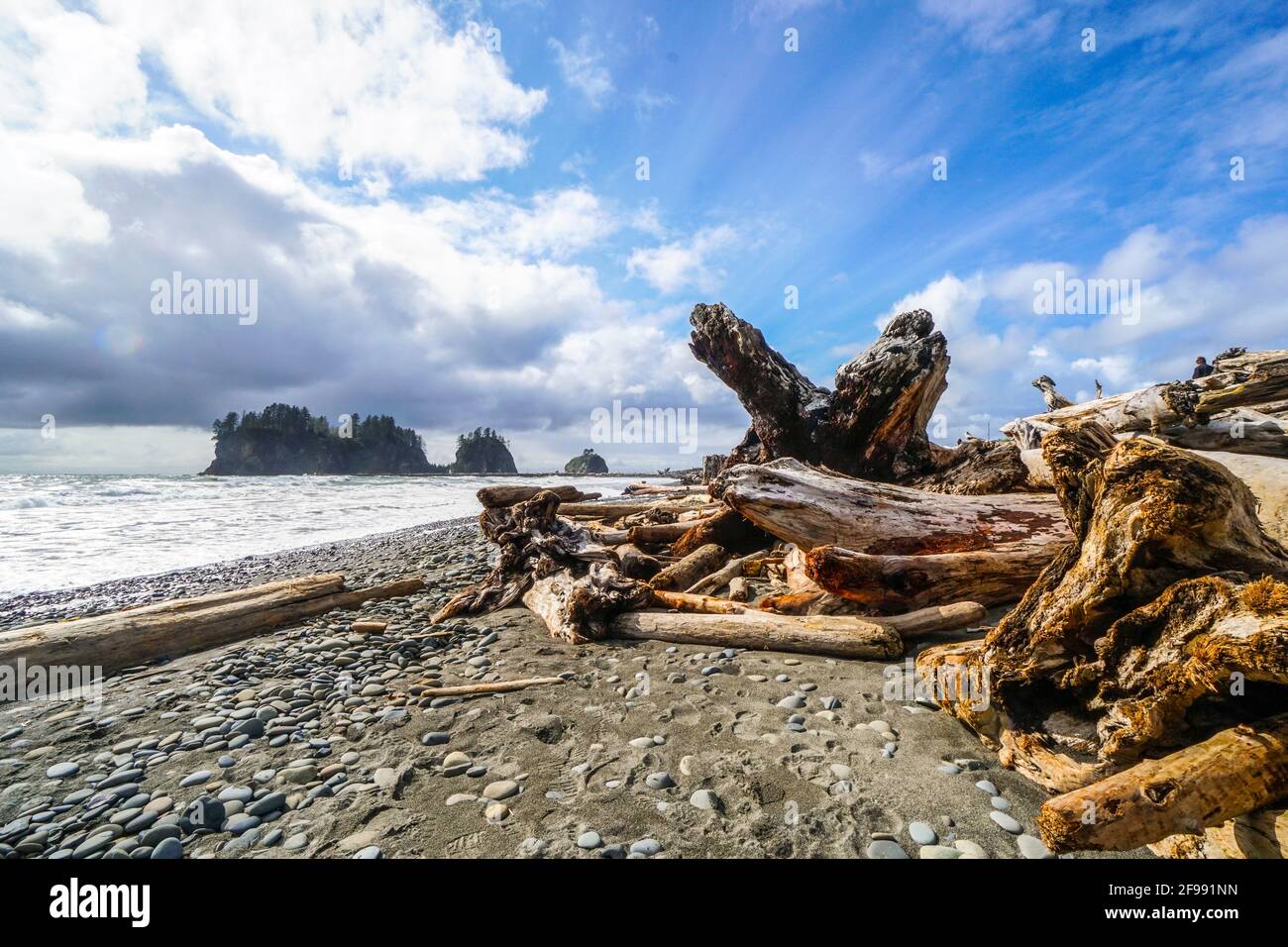 Amazing La Push Beach in the Quileute Indian reservation Stock Photo ...