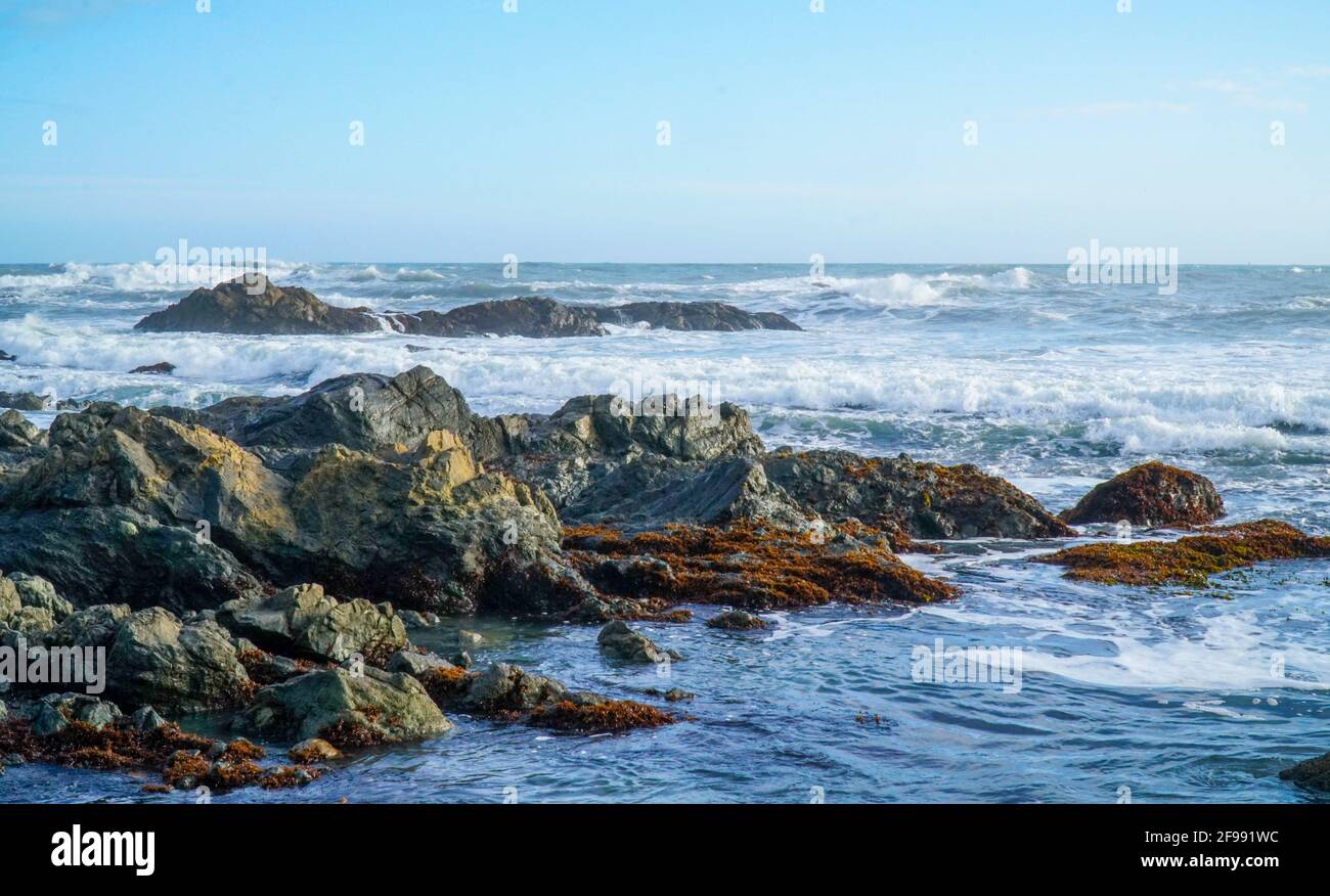 The wild and rocky coast of Shelter Cove - SHELTER COVE / CALIFORNIA ...