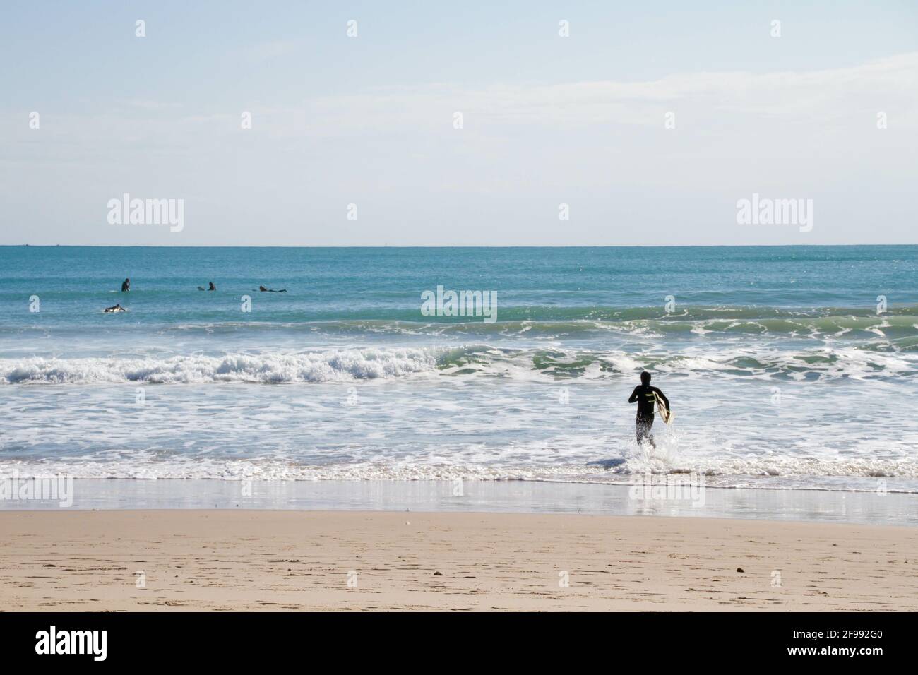 Group surfers enjoying ocean waves hi-res stock photography and images ...