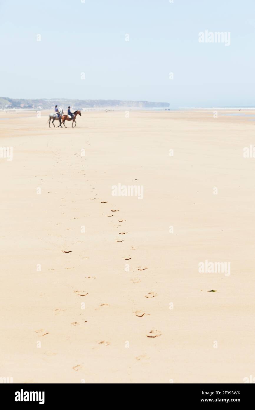 Horse footprints on beach hi-res stock photography and images - Alamy