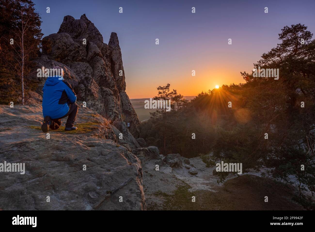 Mason arms hi-res stock photography and images - Alamy