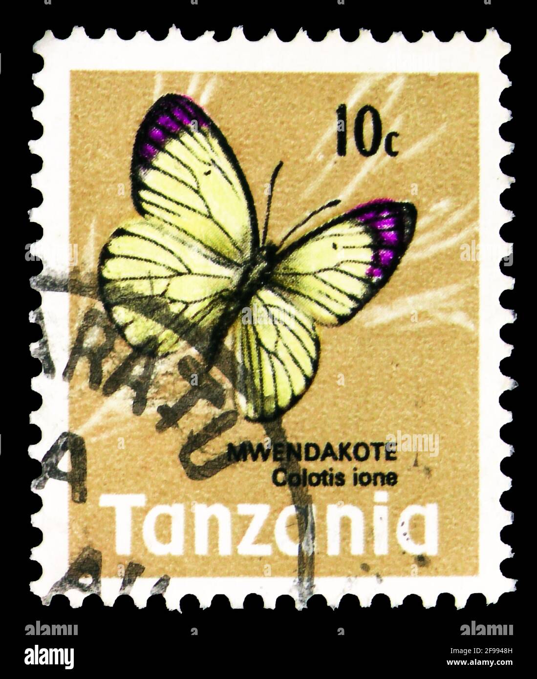 Colotis hi-res stock photography and images - Alamy