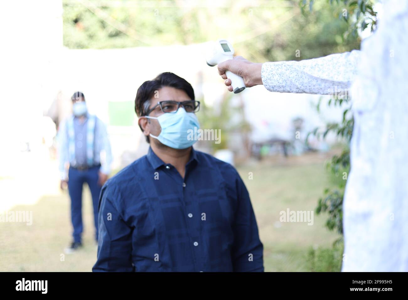 Health worker checking visitor's temperature using infrared digital ...