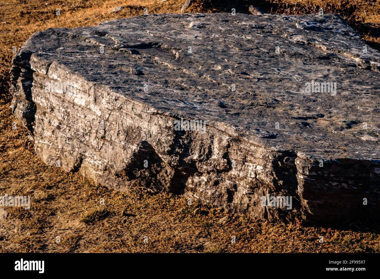 Foliated rock Gneiss with distinct gneissic banding. It is derived by ...