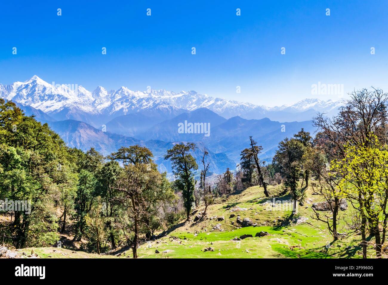 This is the view of Himalayas Panchchuli peaks & alpine landscape from ...