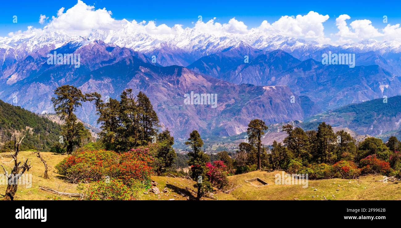 This is the view of Himalayas Panchchuli peaks & alpine landscape from ...