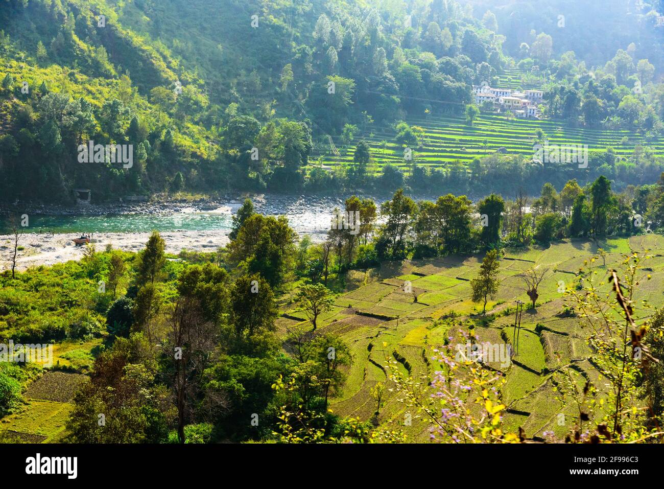 View of Ramganga river and the valley to the village and terrace fields ...