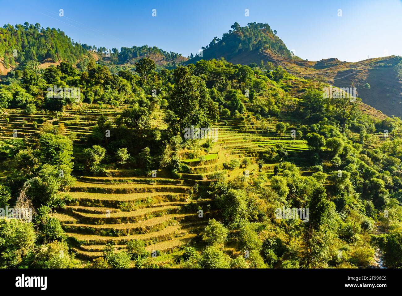 Terrace farming in india hi-res stock photography and images - Alamy