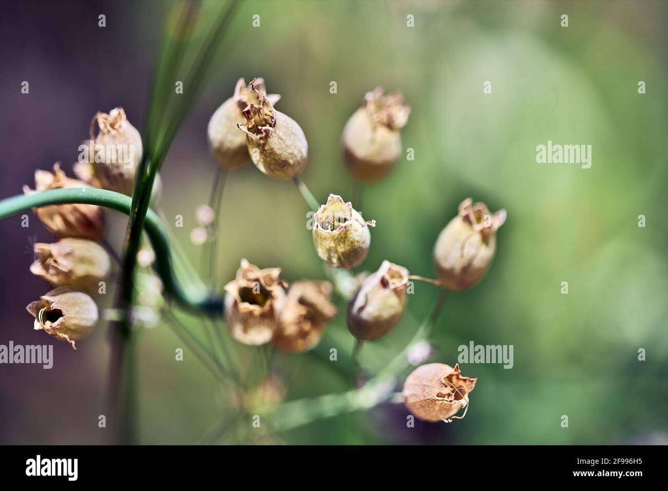 Beautiful spring colour hi-res stock photography and images - Alamy