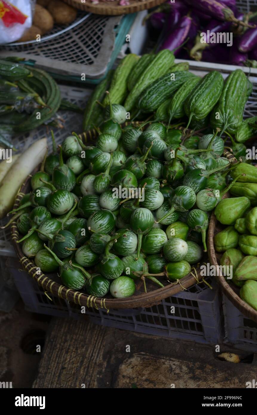 A collection of round green eggplant vegetables Stock Photo - Alamy