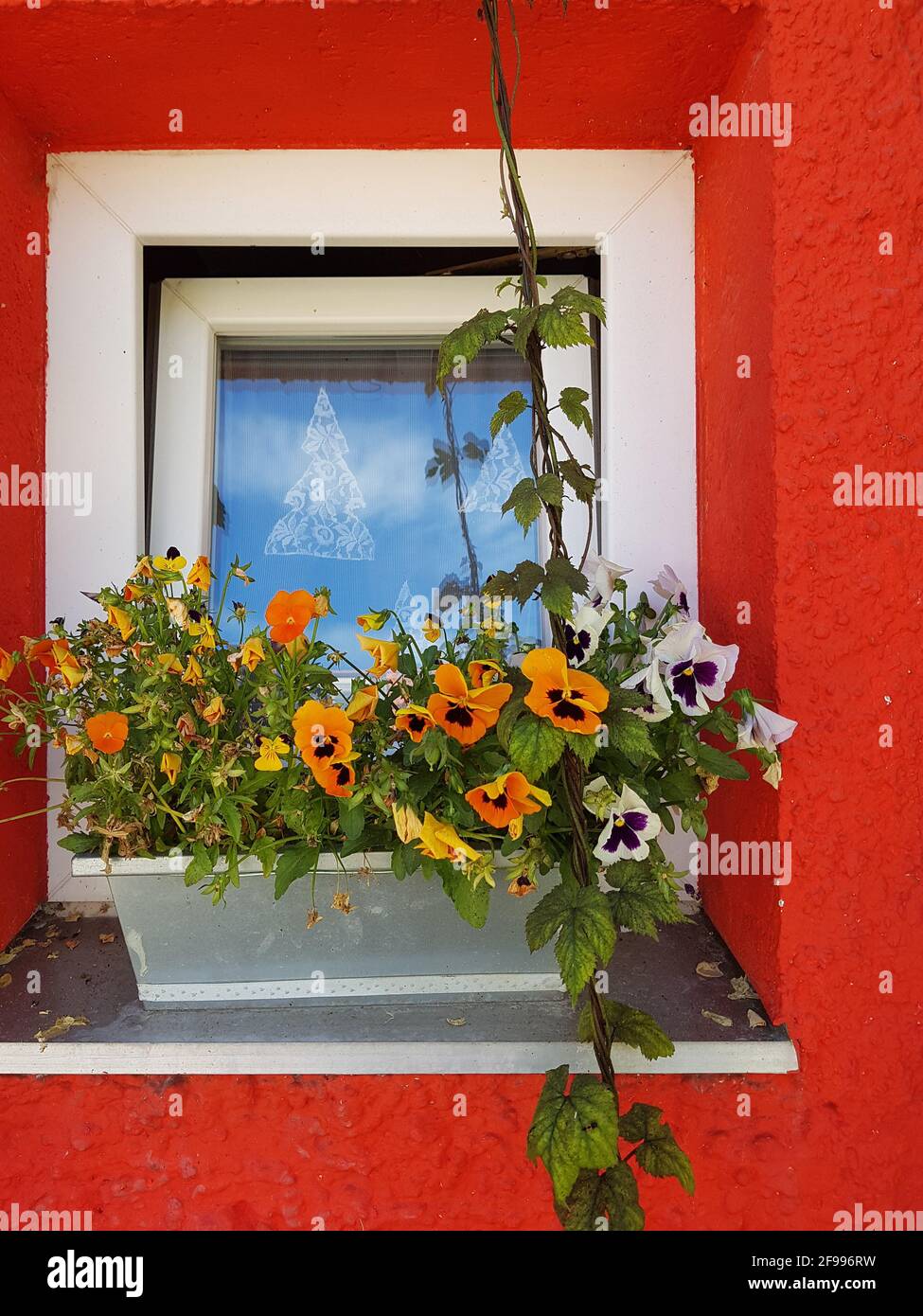 Colorful windows with floral decorations hi-res stock photography and ...
