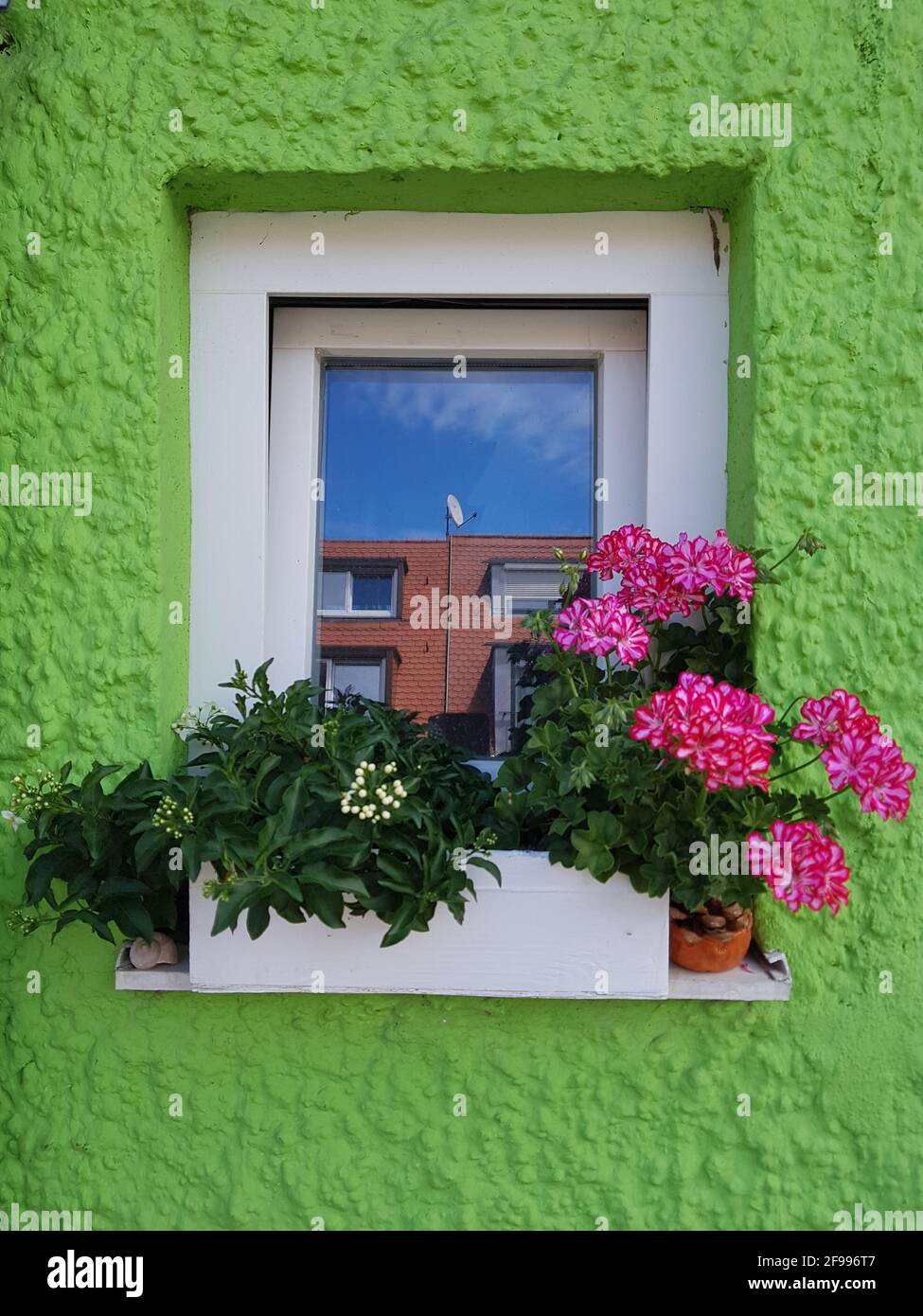 Colorful windows with floral decorations Stock Photo - Alamy