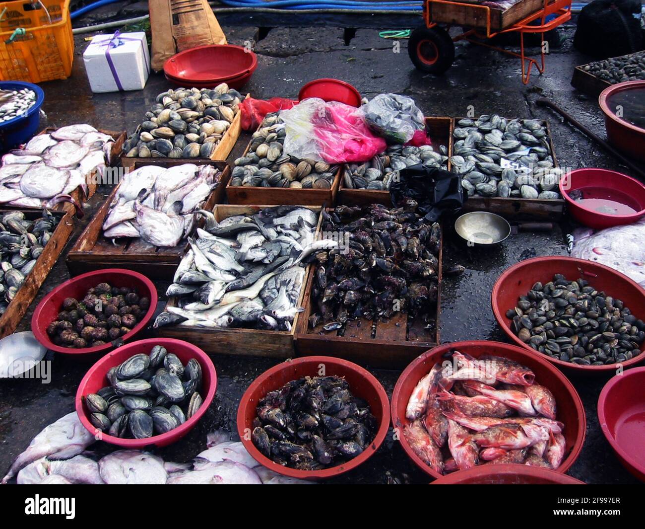 Seafood at the fish market Stock Photo - Alamy