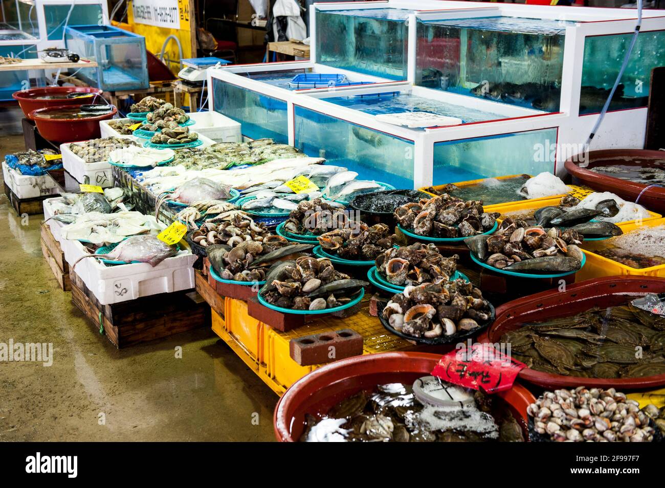 Seafood at the fish market Stock Photo - Alamy