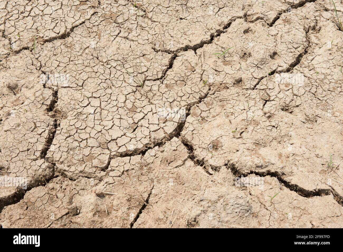 The ground was split by drought Stock Photo - Alamy