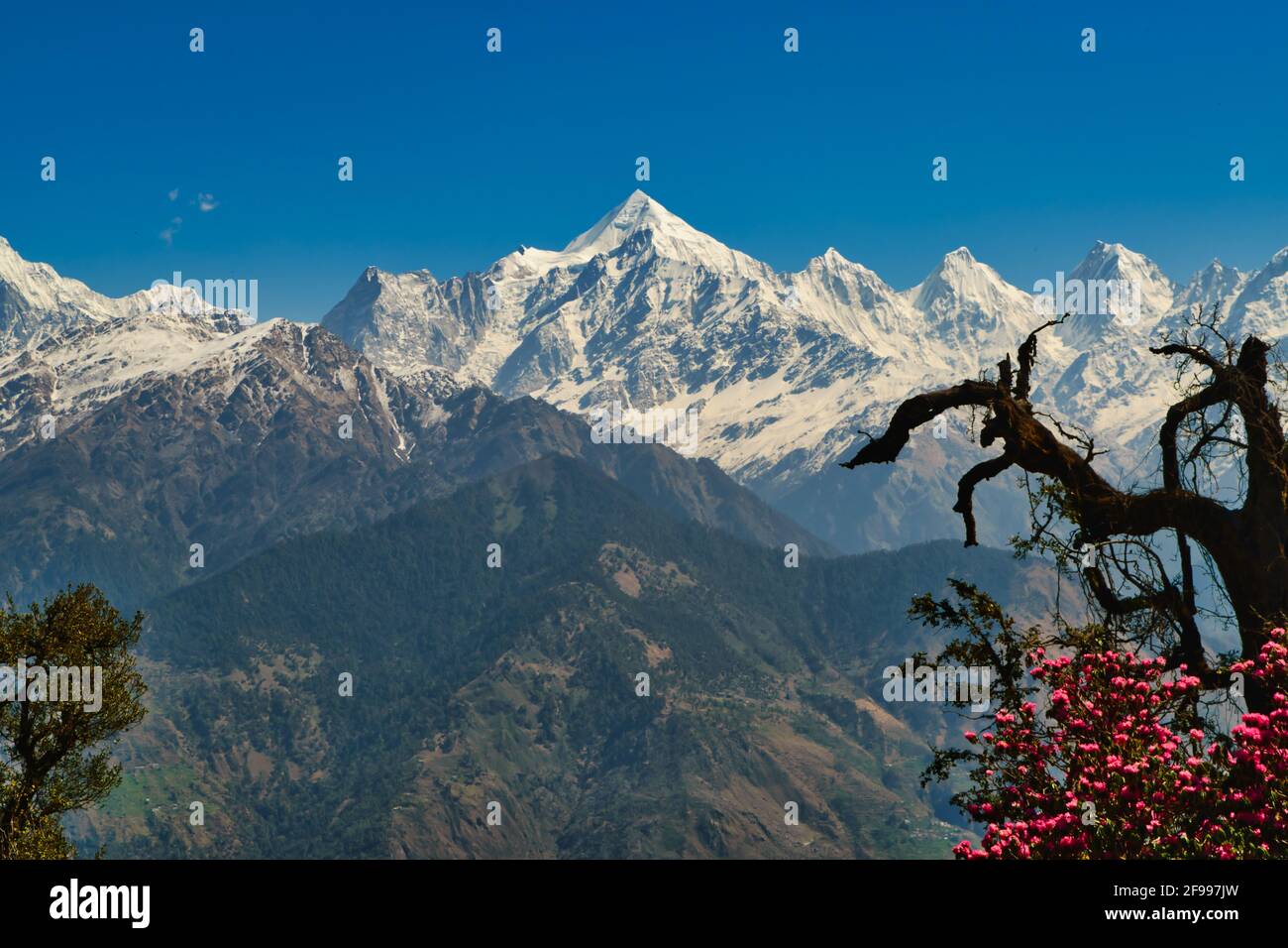 view of Snow cladded Panchchuli peaks of Himalayan mountain range at Munsiyari, Kumaon region ...