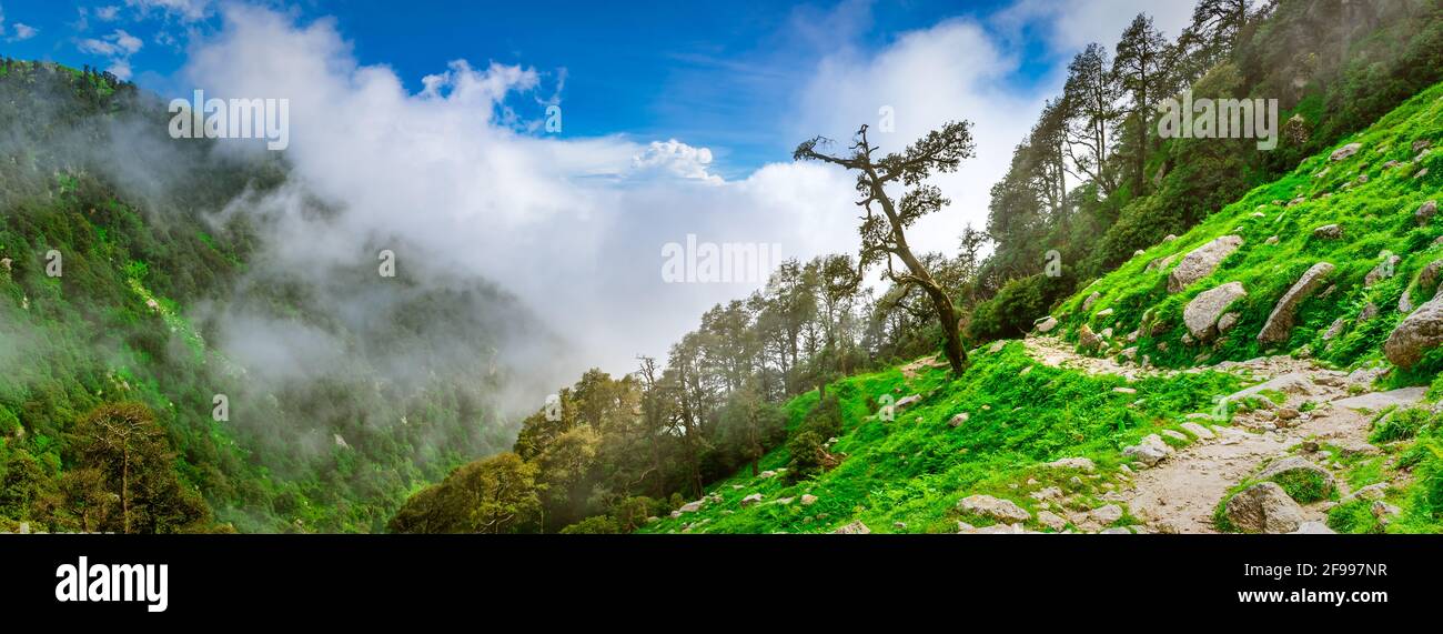 Triund top hi-res stock photography and images - Alamy