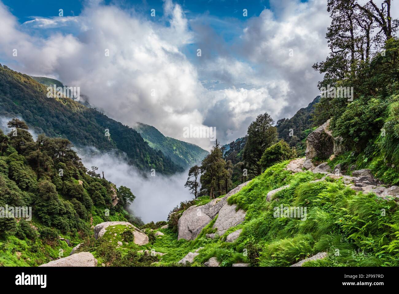 Triund top hi-res stock photography and images - Alamy