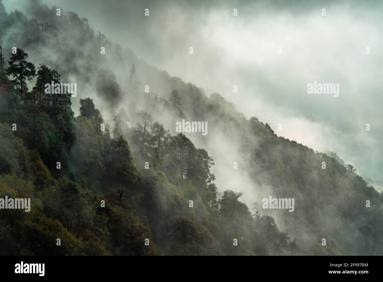 Positive slope hi-res stock photography and images - Alamy