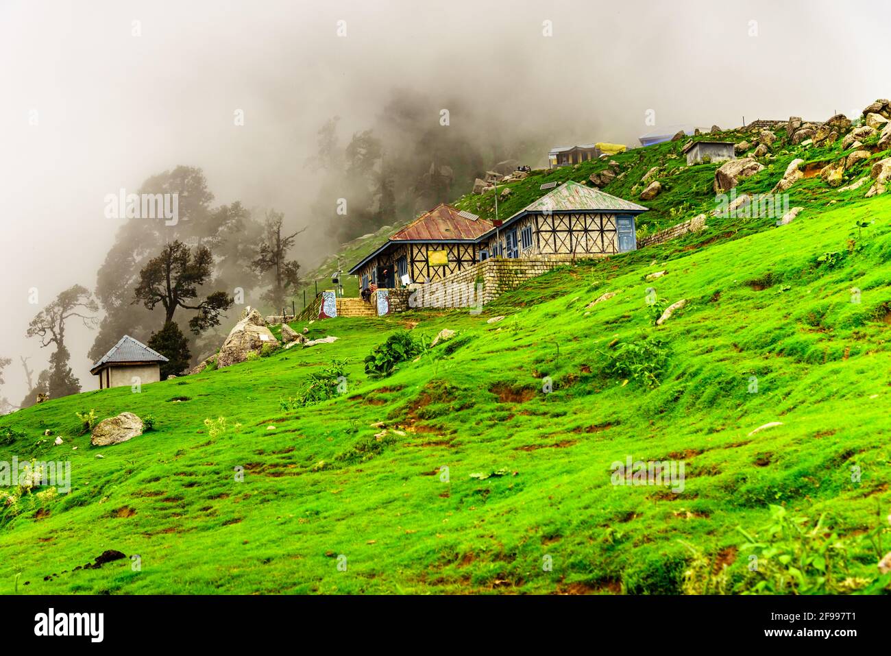 Alpine meadows of Triund hill ridge shrouded in mist in a scenic ...