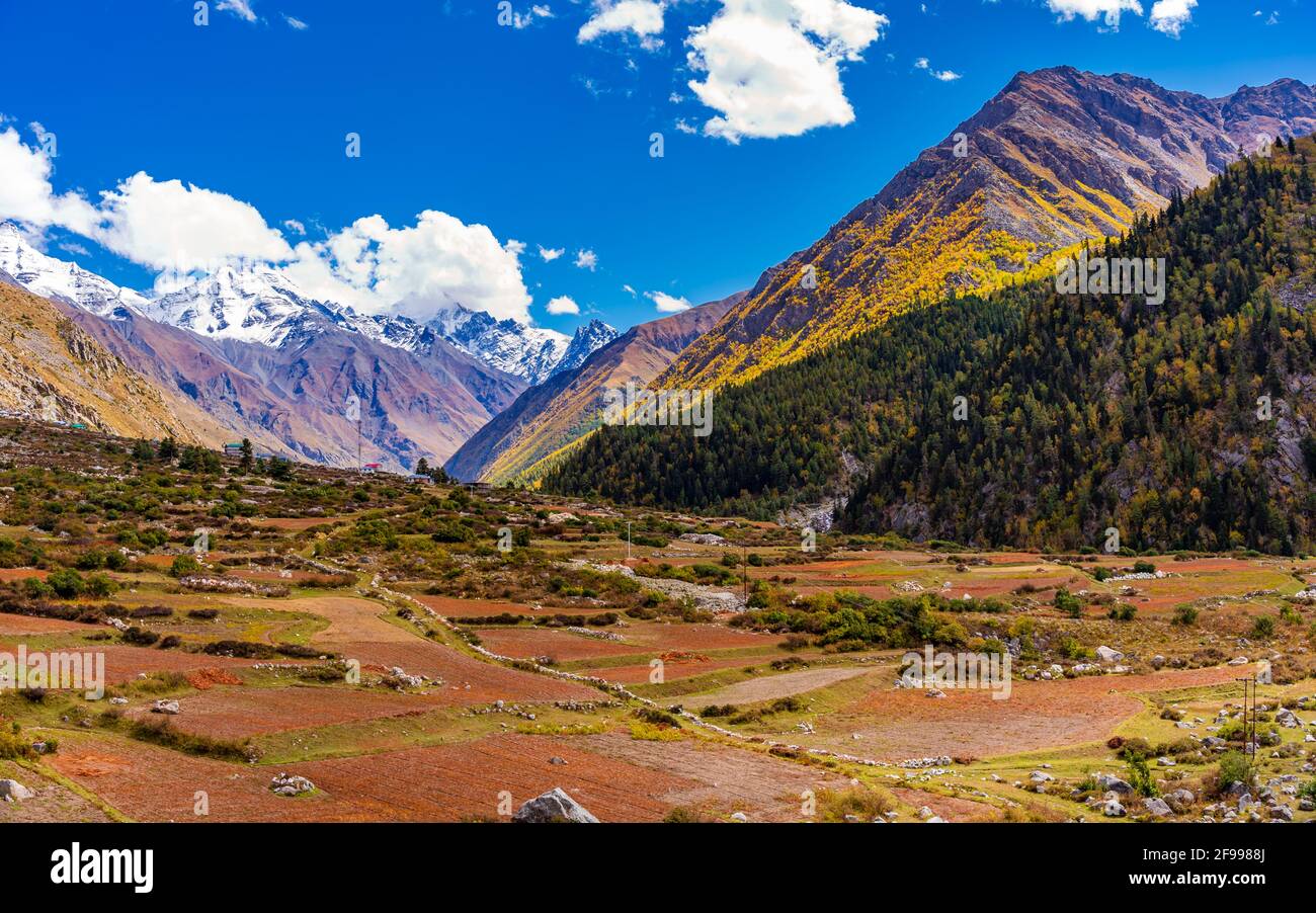 Serene Landscape of near Chitkul village in Kinnaur district of ...