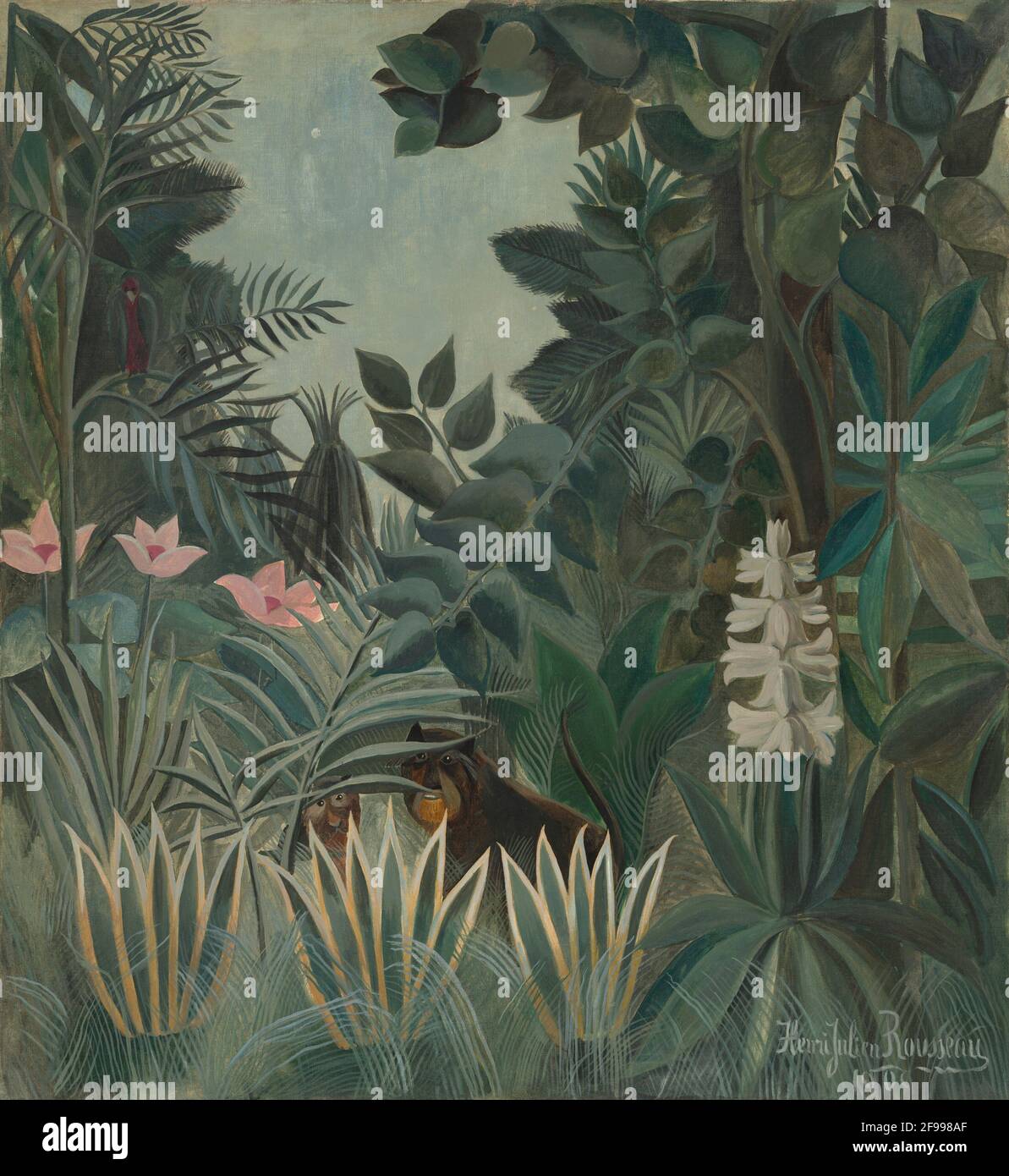 The Equatorial Jungle, 1909 Stock Photo - Alamy