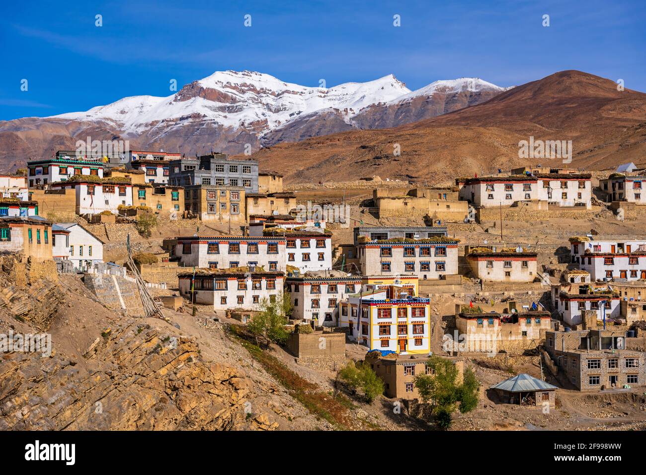 Kibber village, famous for snow leopard of Kibber wildlife sanctuary ...