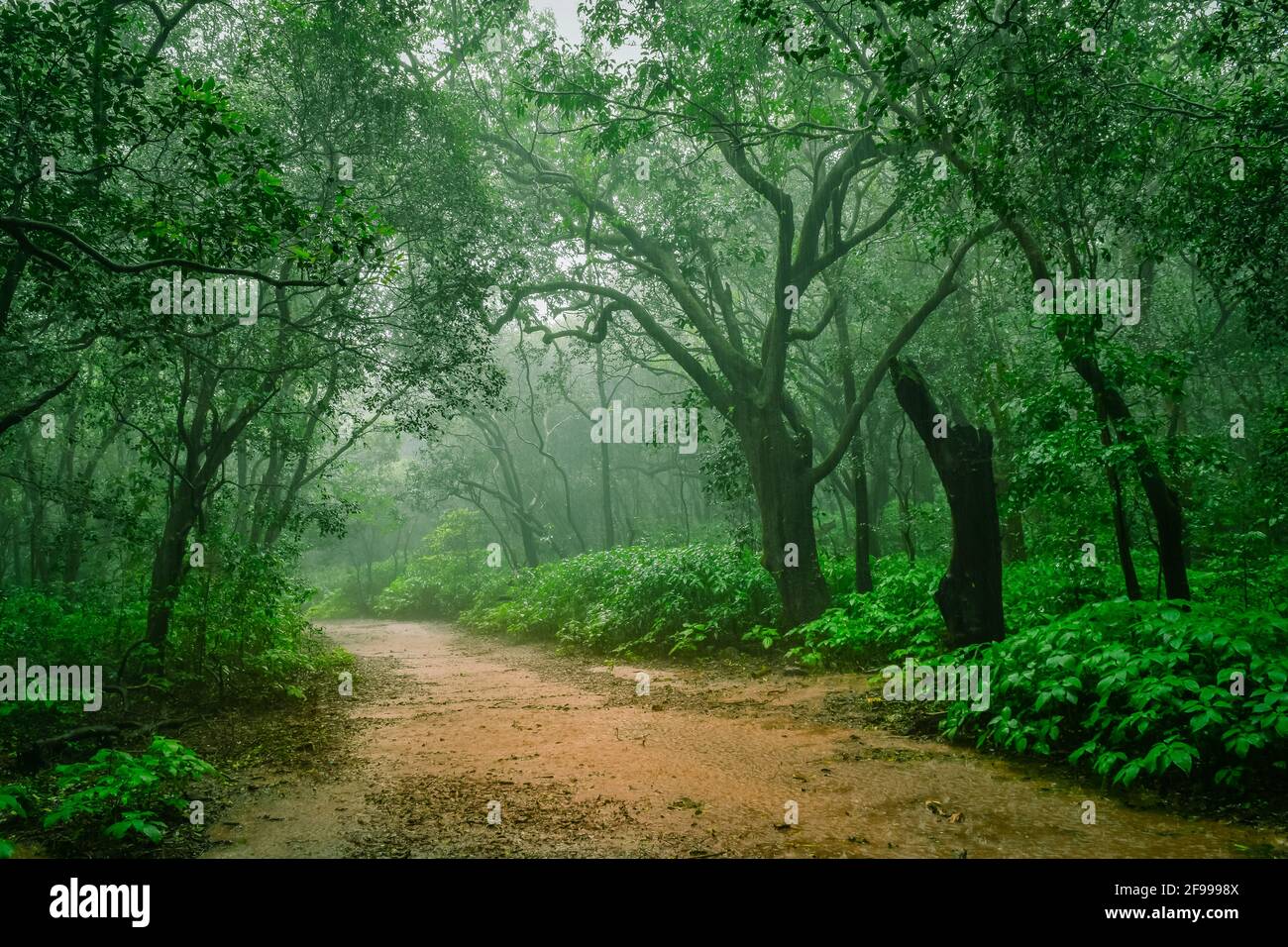 Matheran hill station hi-res stock photography and images - Alamy