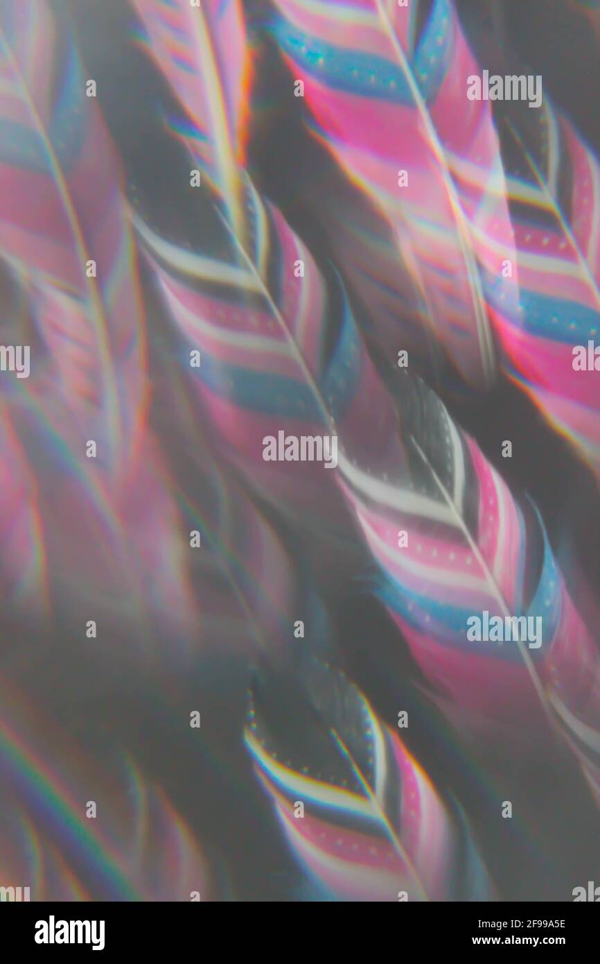 Feathers painted hi-res stock photography and images - Alamy