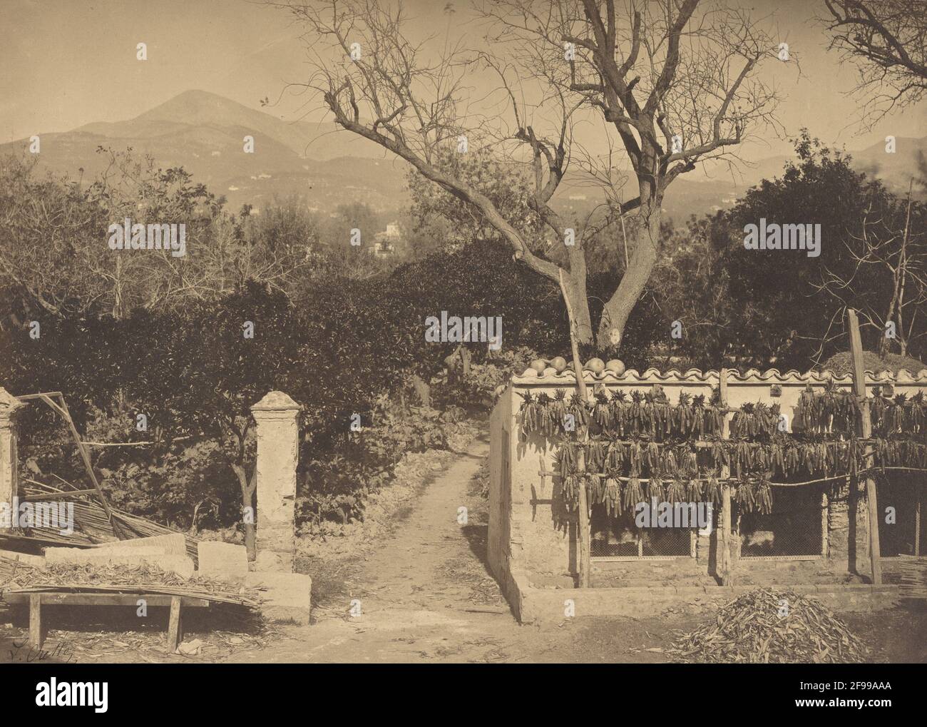 Agricultural Scene with Mountains, 1850s Stock Photo - Alamy